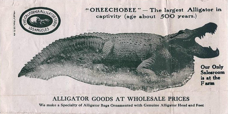 DECAYING HOLLYWOOD MANSIONS: The California Alligator Farm - Los Angeles