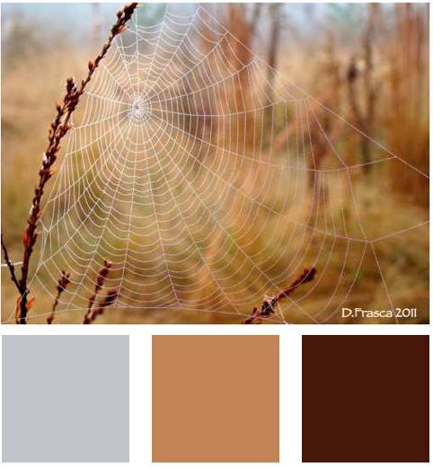 Color and The Queen City: Cobwebs of Color