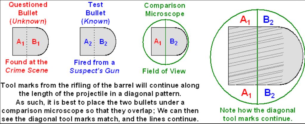 TINCANBANDIT's Gunsmithing: Firearms Forensics