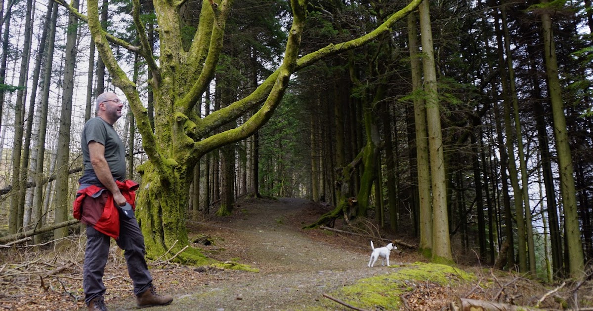 A walk up to Callander Crags