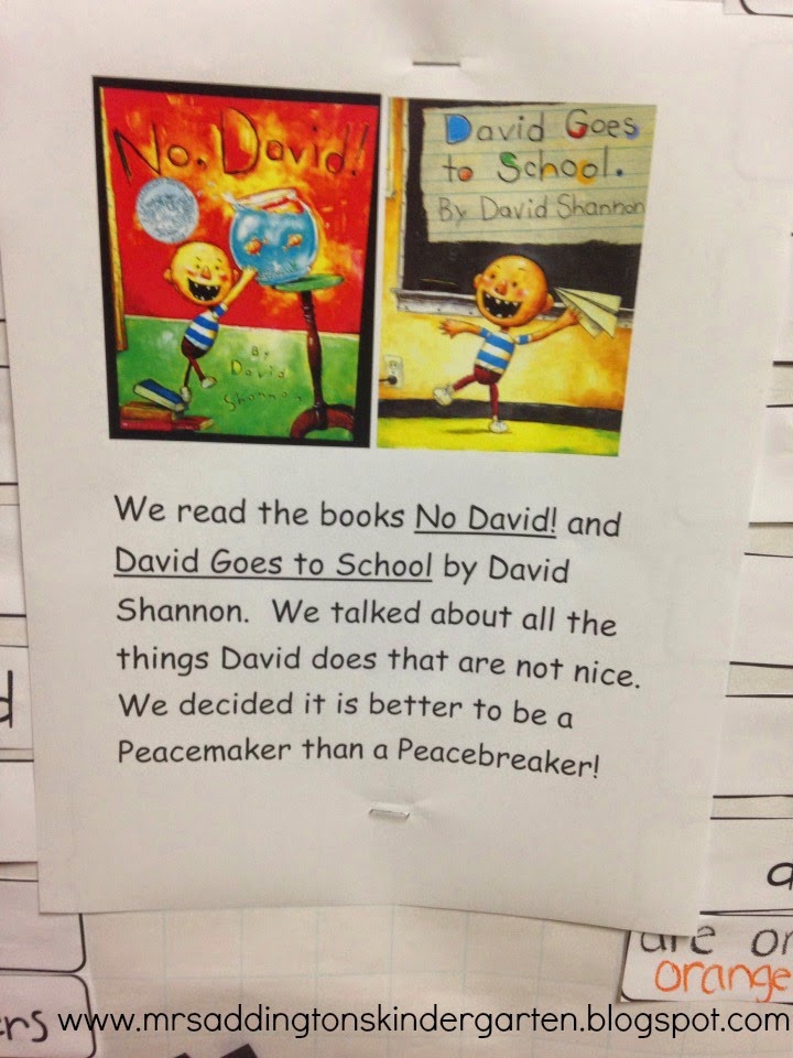 Together An Ocean : No, David! Our First Project