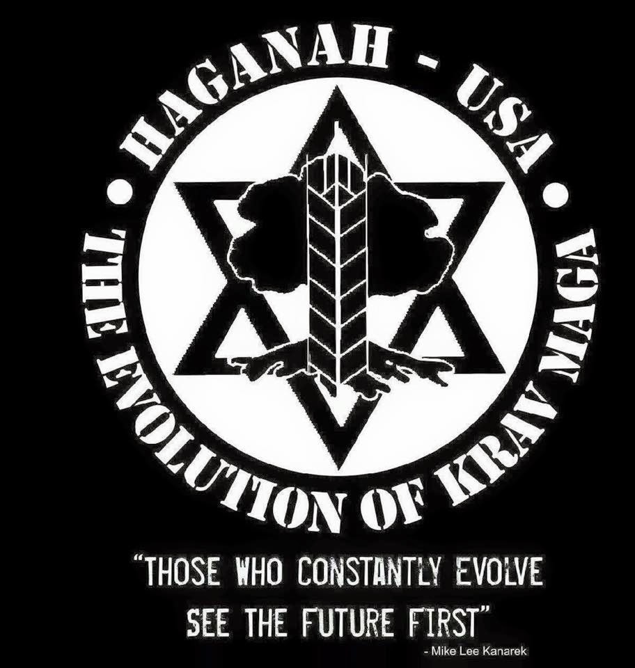 Being the Candle: The 2015 Haganah Annual Conference