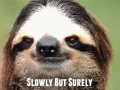 My Spirit Animal | JumpingJE