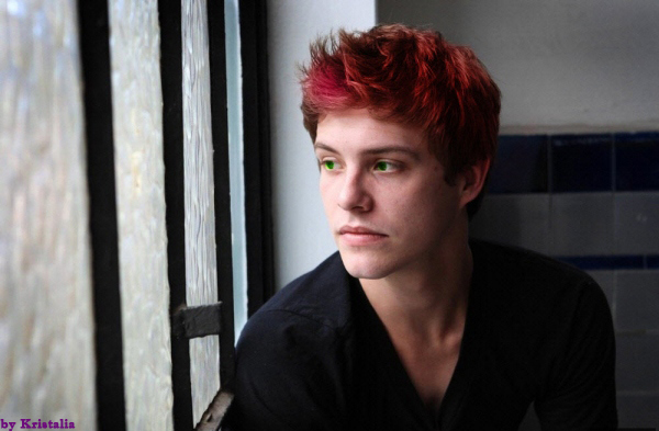 The book is out there....: The Iron King (The Iron Fey #1) by Julie Kagawa