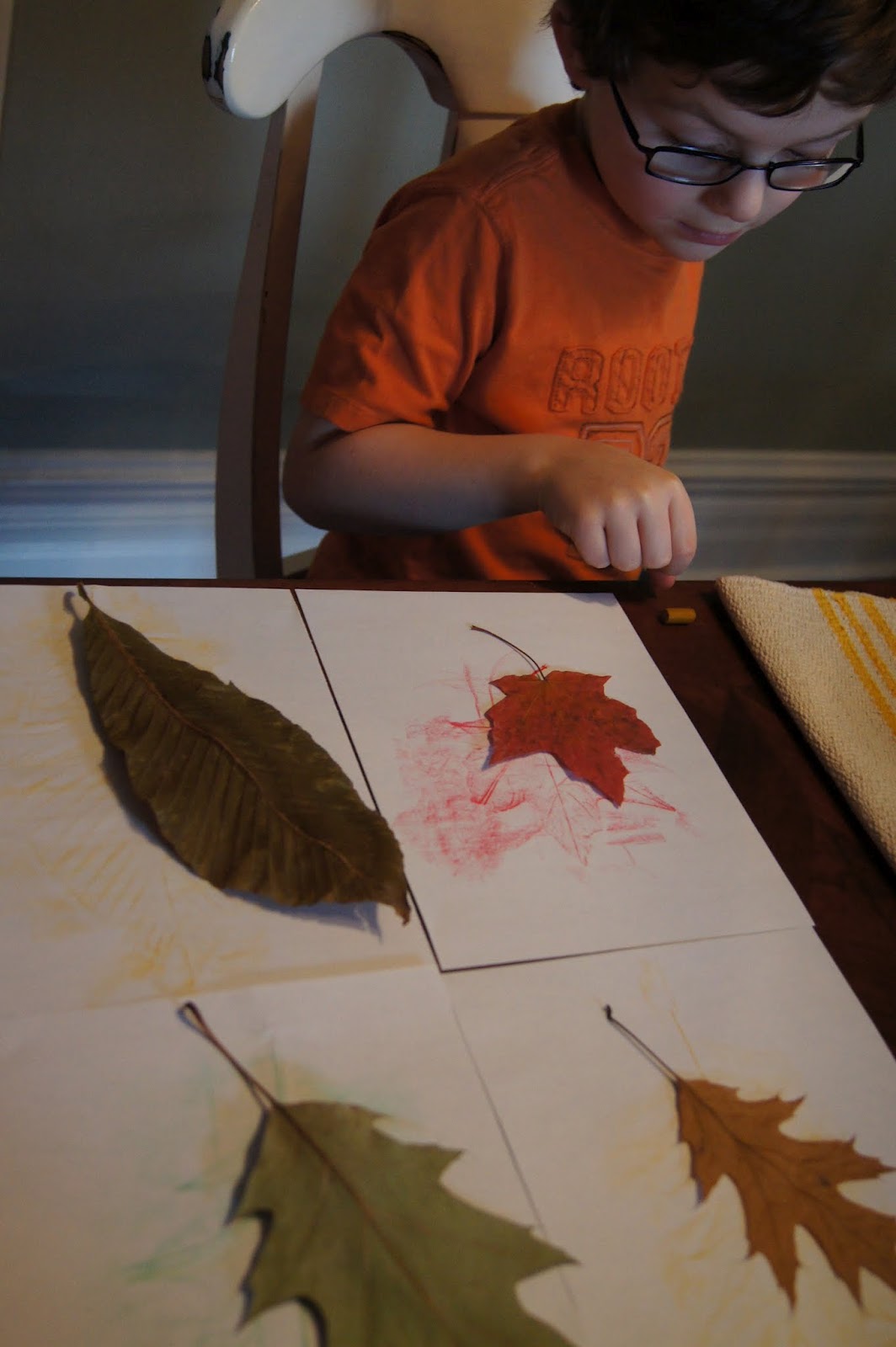 Montessori Leaf Cabinet, Montessori Botany At Home Part 2 - "Making ...
