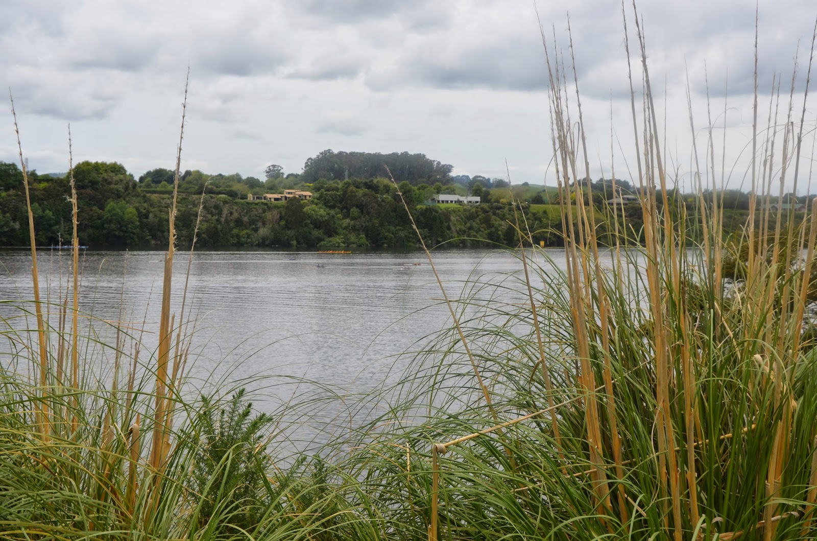 Photography: Lake Karapiro, New Zealand