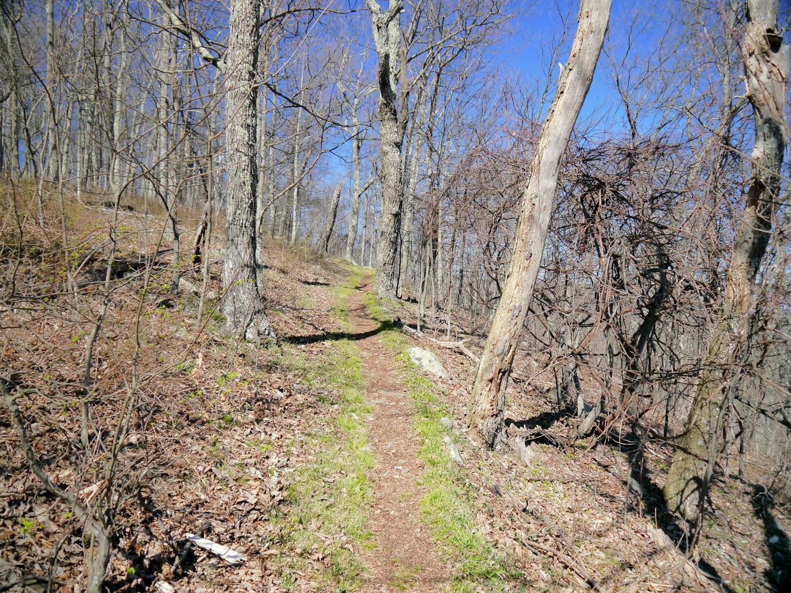 American Travel Journal: Riprap Trailhead to Blackrock Gap ...