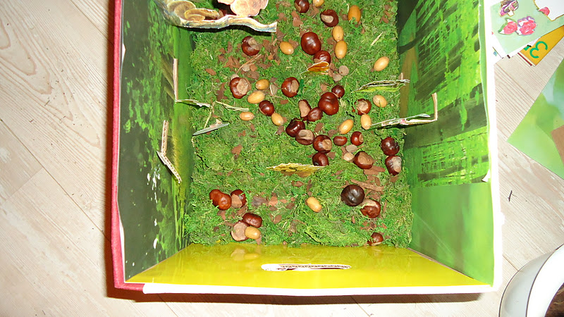 Avondster: Doel 80: Kijkdoos maken