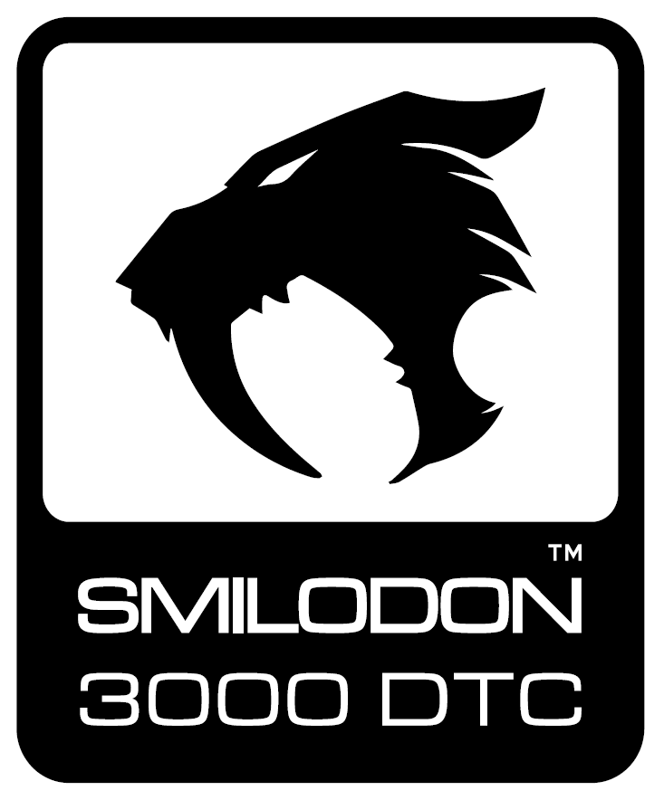 ALIWAL NORTH SAR LAYOUT: DC Model Train Controllers