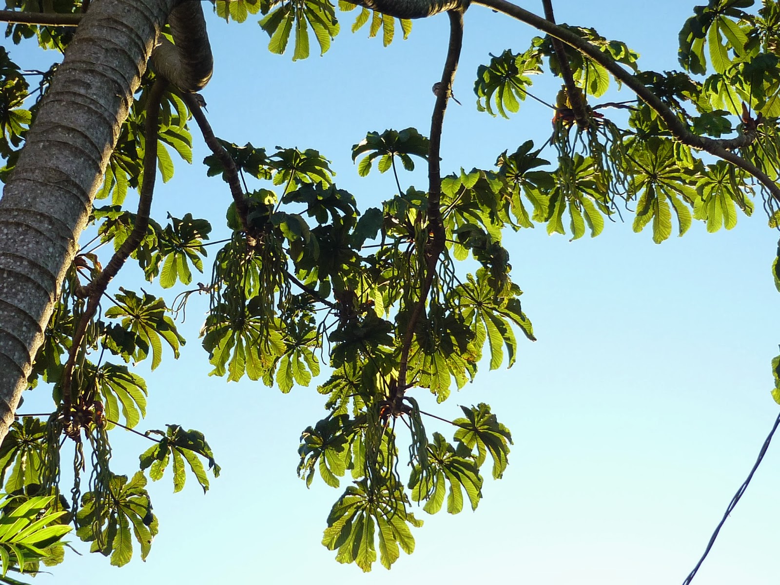 Verde Natura: septiembre 2013