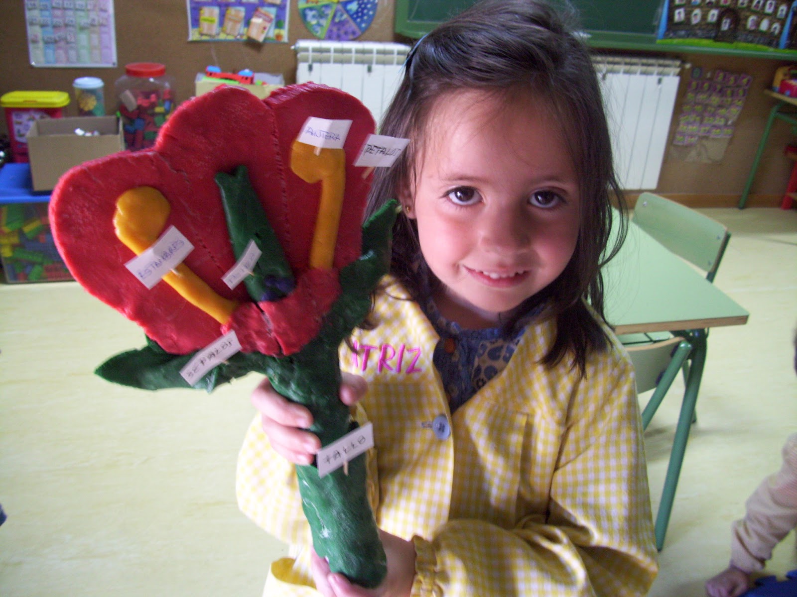 CHIRIBITAS: PARTES DE LA FLOR