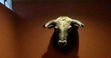 12 Of The Weirdest Pictures Ever That Will Make You Look Twice ~ fasiha ...