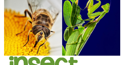 Cloud Nine Classroom: Endangered Species, Insects, Earth Day, and More