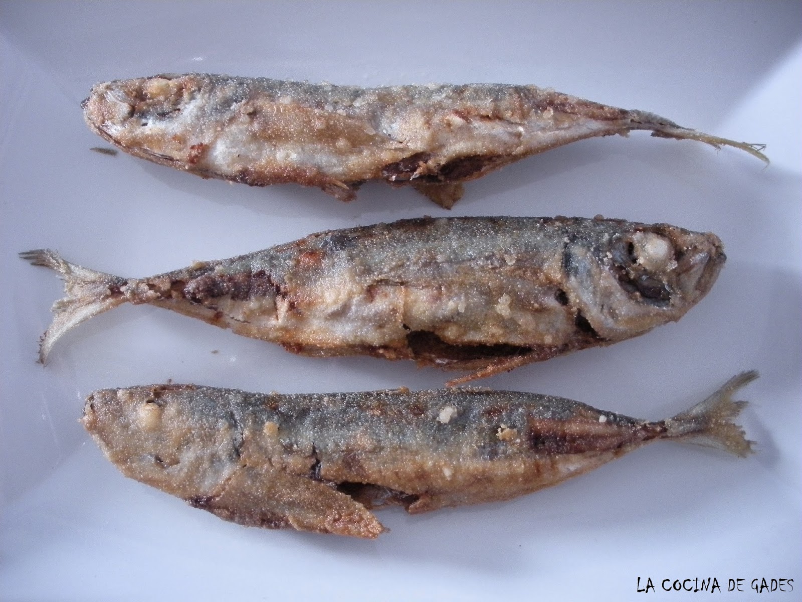 LA COCINA DE GADES: JUREL FRITO