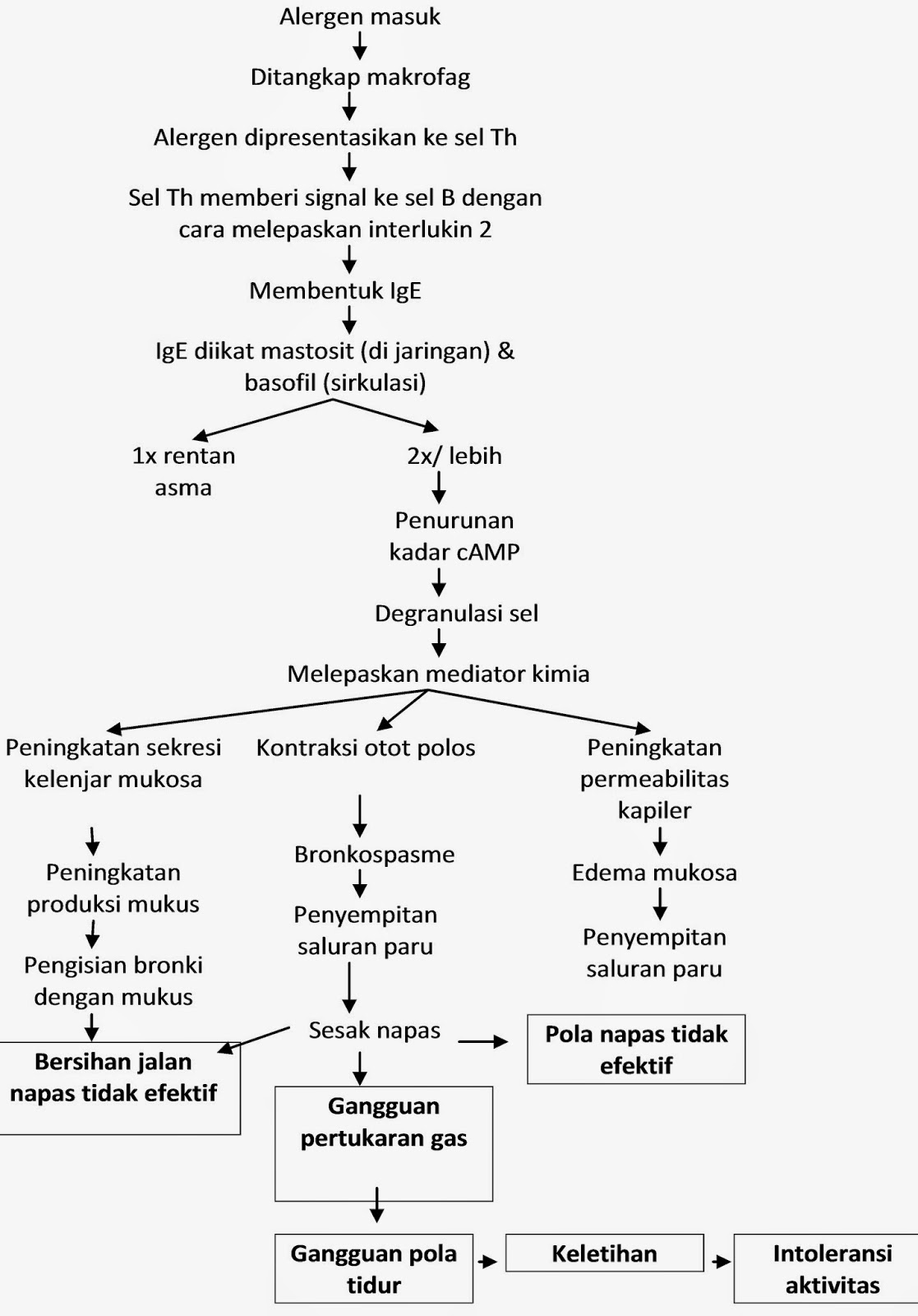 SEA's CORNER: ASUHAN KEPERAWATAN ASMA