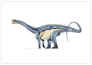 LOS DINOSAURIOS DE MANU: HAPLOCANTHOSAURUS