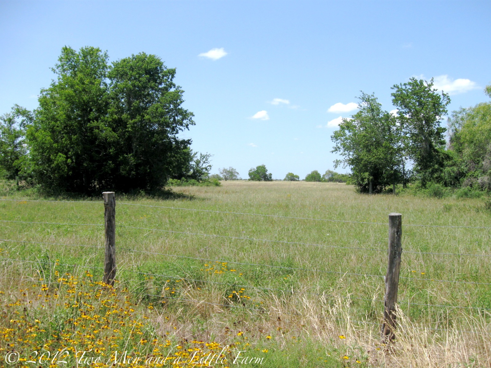 HOw To RANDOM PROPERTY PICTURES