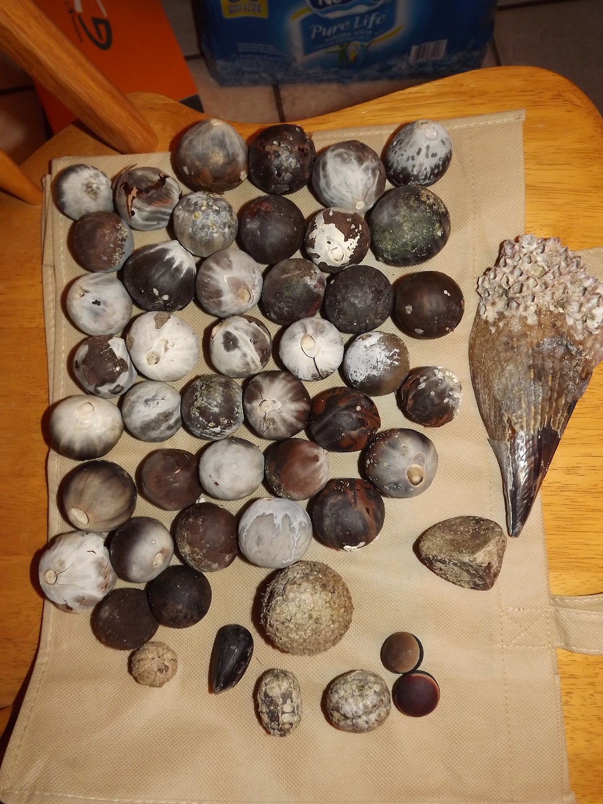 The Road Keeps Changing: Beachcombing Finds