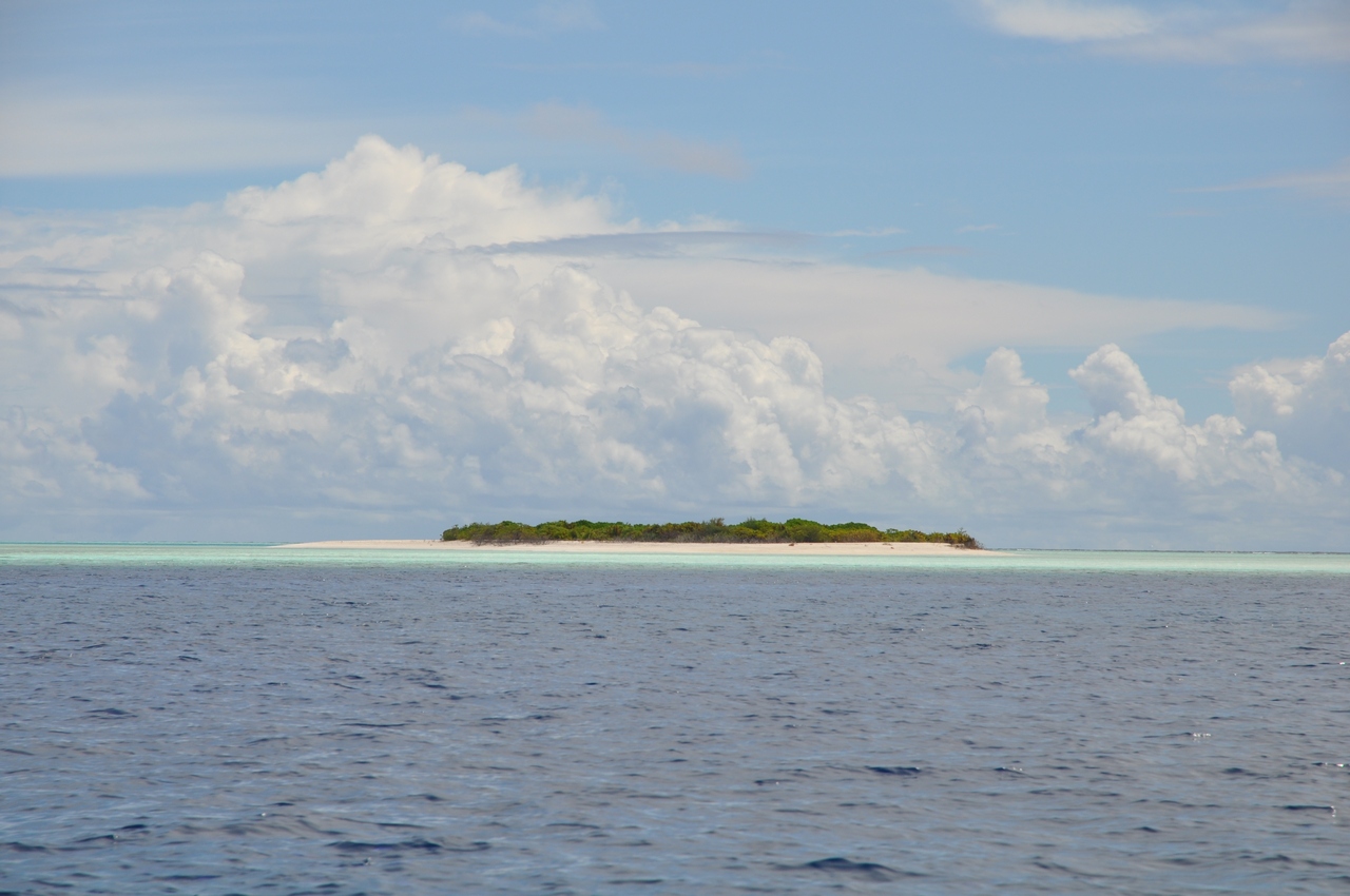 Maldives Guest Houses and Resorts : Rasdhoo Island