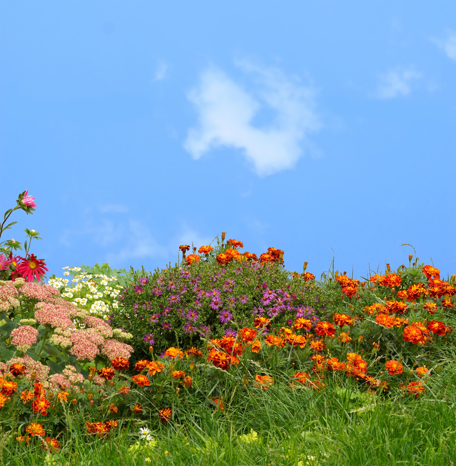 Imagini si peisaje de primavara