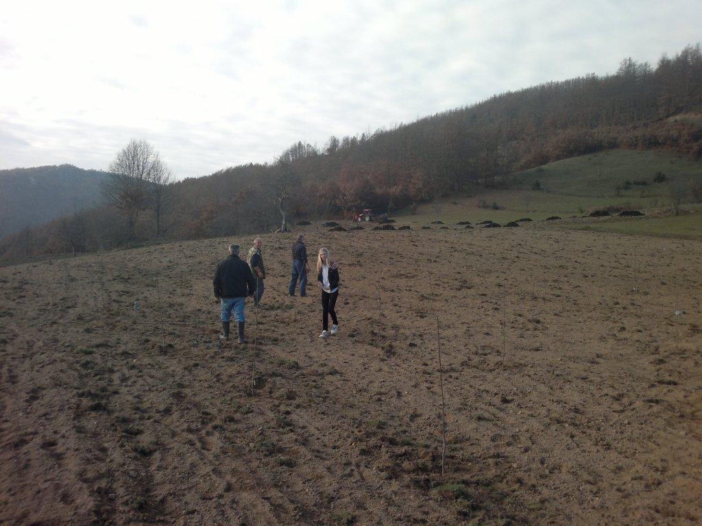 DŽEVDET - DŽEKA MUMINOVIĆ