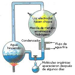 El blog de Jaime Panadero: La teoría de Oparin-Haldane y el experimento ...