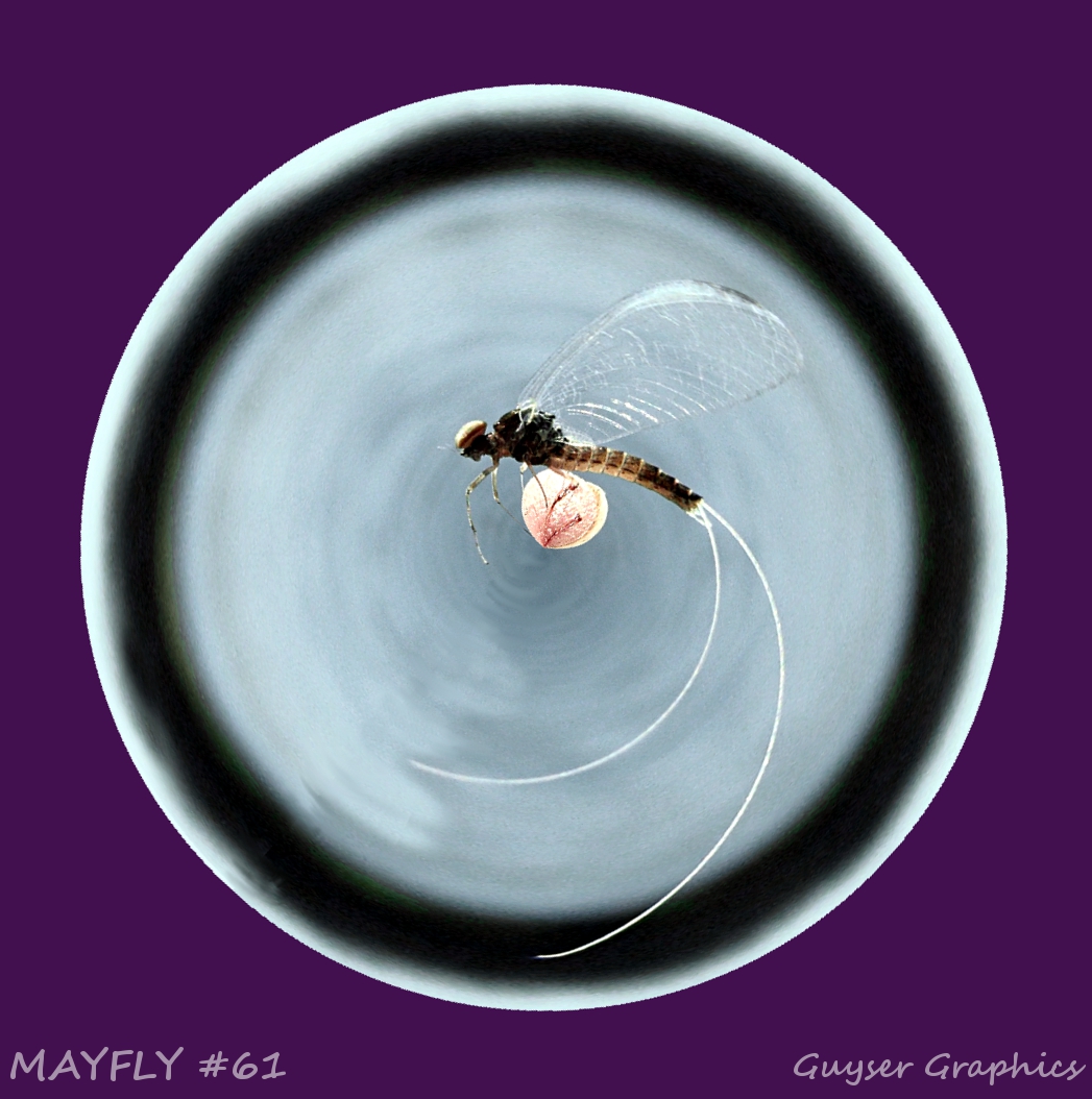 Fly Fishing In Yellowstone National Park: Fly Shop #2