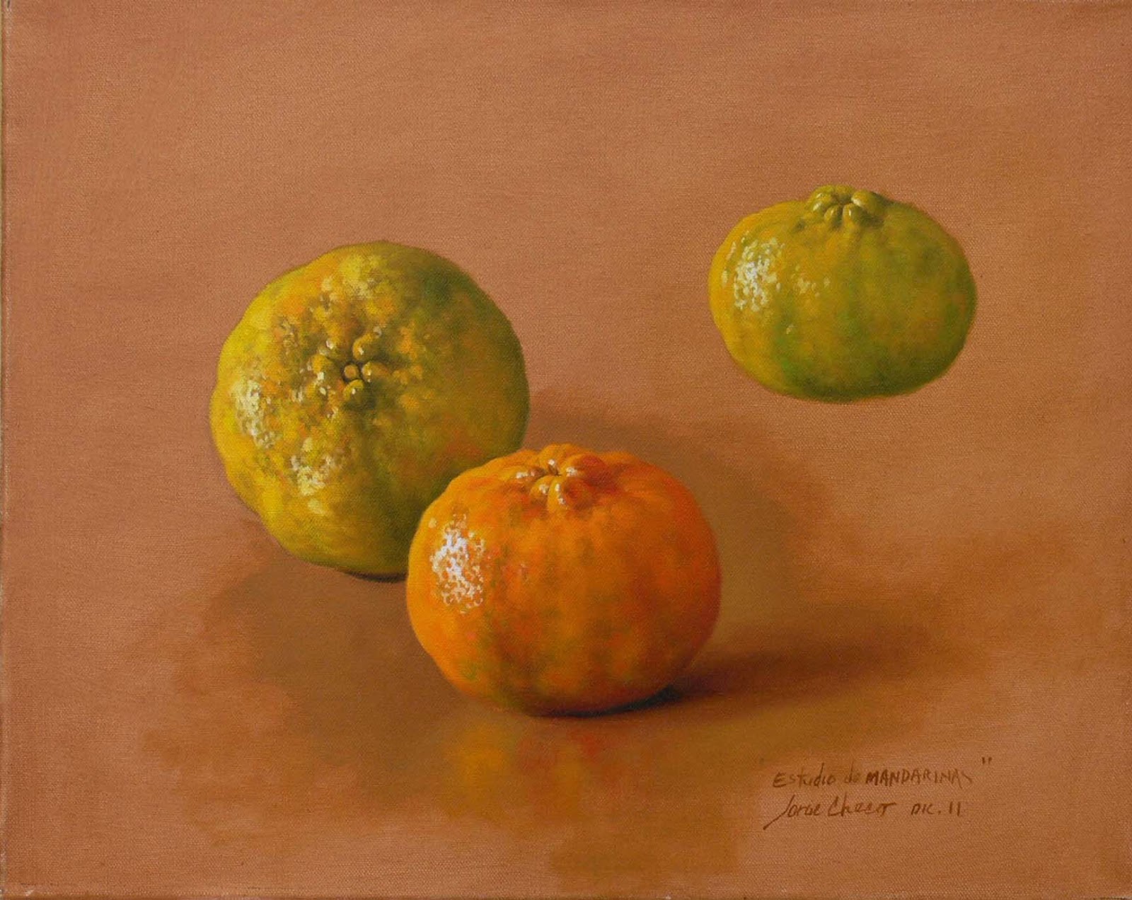 jorge checo: Estudios de mandarinas