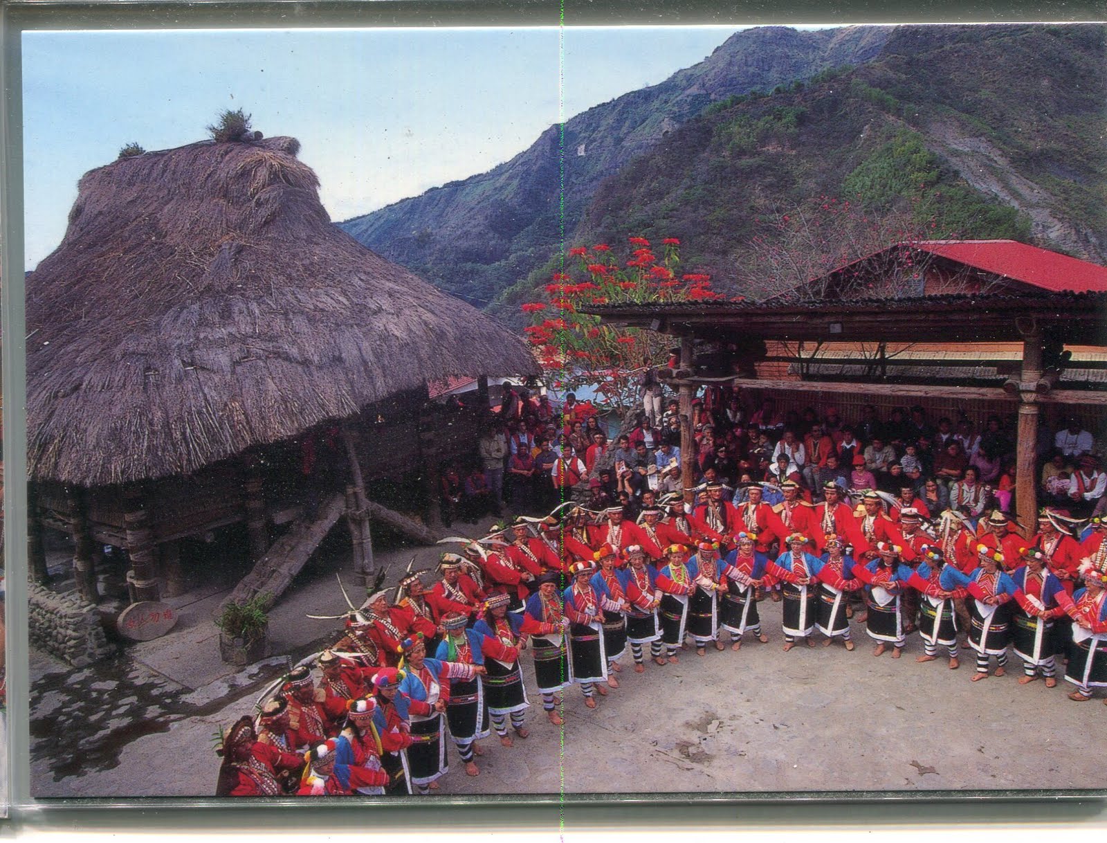 collect ROC: Taiwan Aborigines Postcard: Tsou Tribes, Alishan, Chiayi