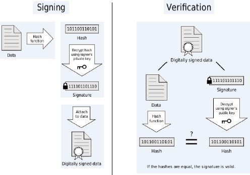 My study in Information Technology: Digital Signature