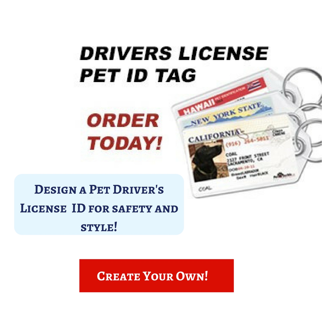Petdriverslicense