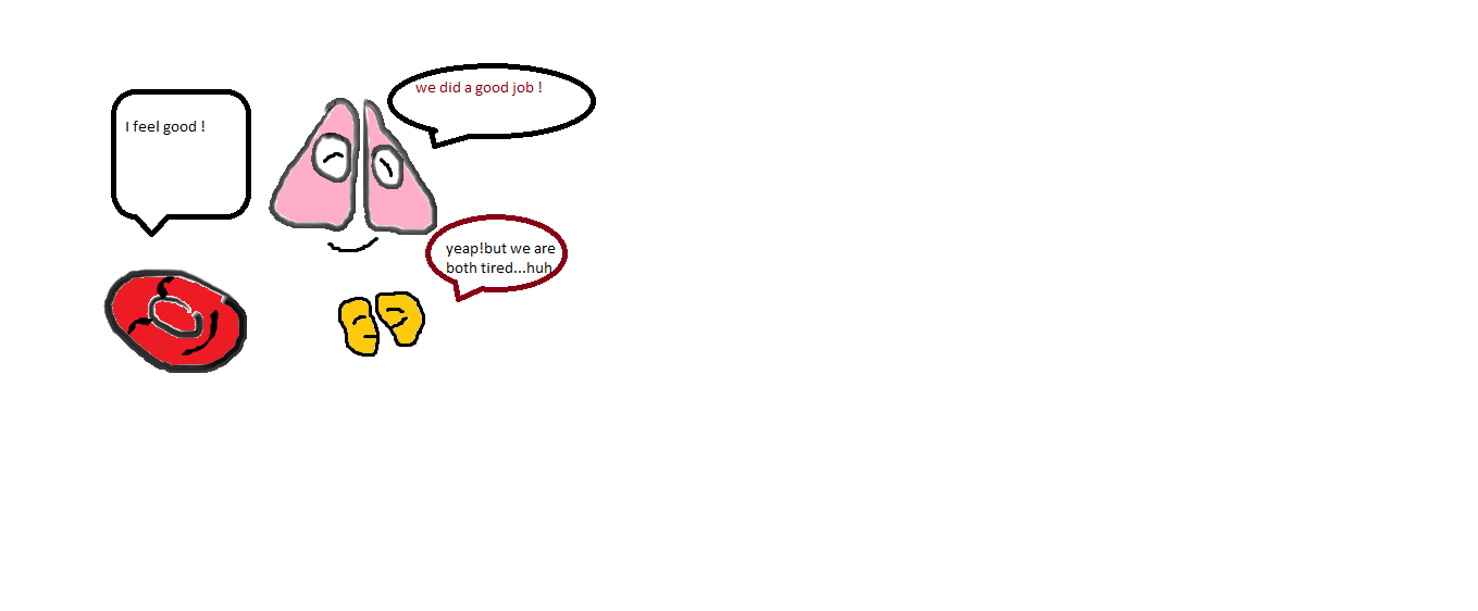 white dandeelion: ABG for Dummies