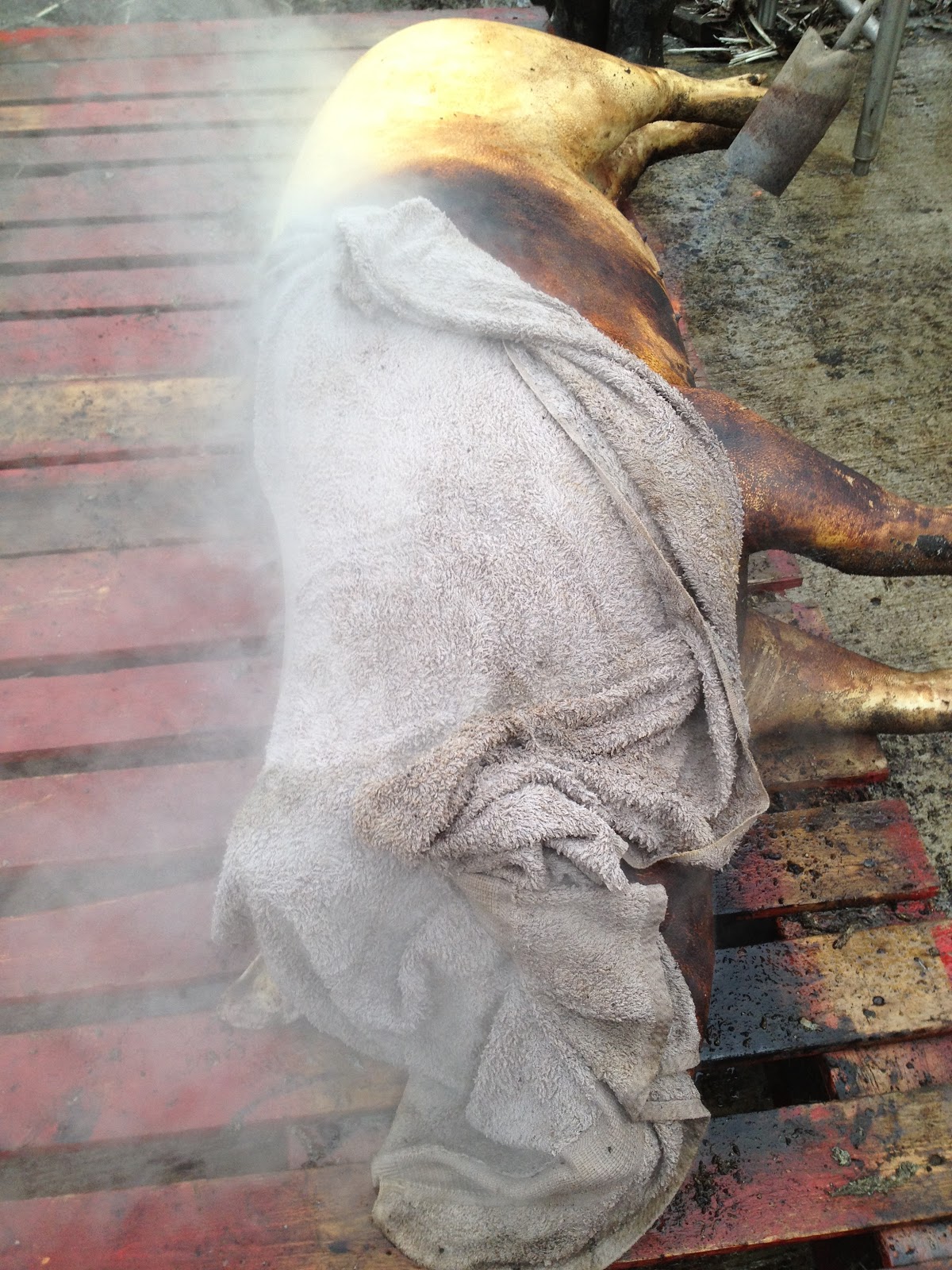 meat: The Russian way of scraping a pig