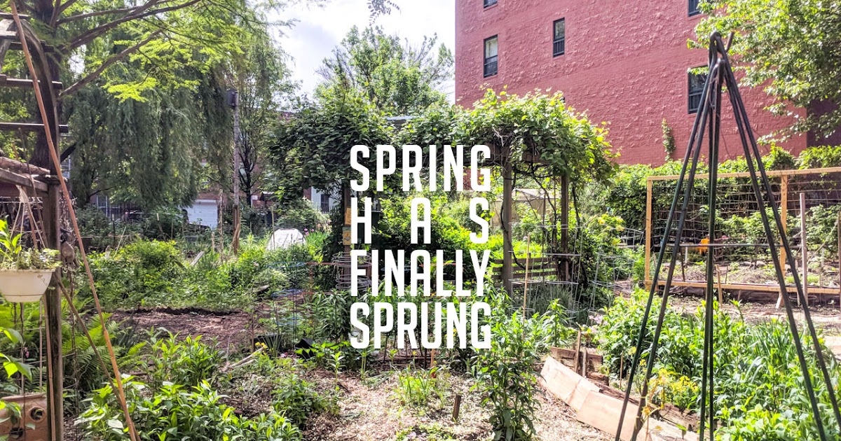 The Misadventures of Jason - A Travel Blog: Spring Has Finally Sprung