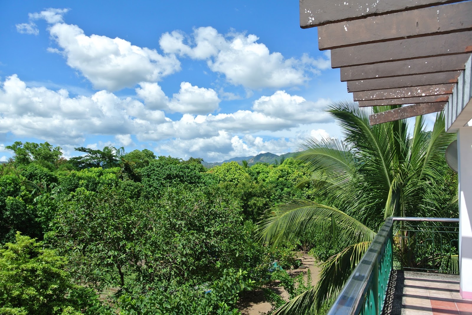 Property for Sale: Brgy. Geronimo, Rodriguez (Montalban), Rizal ...