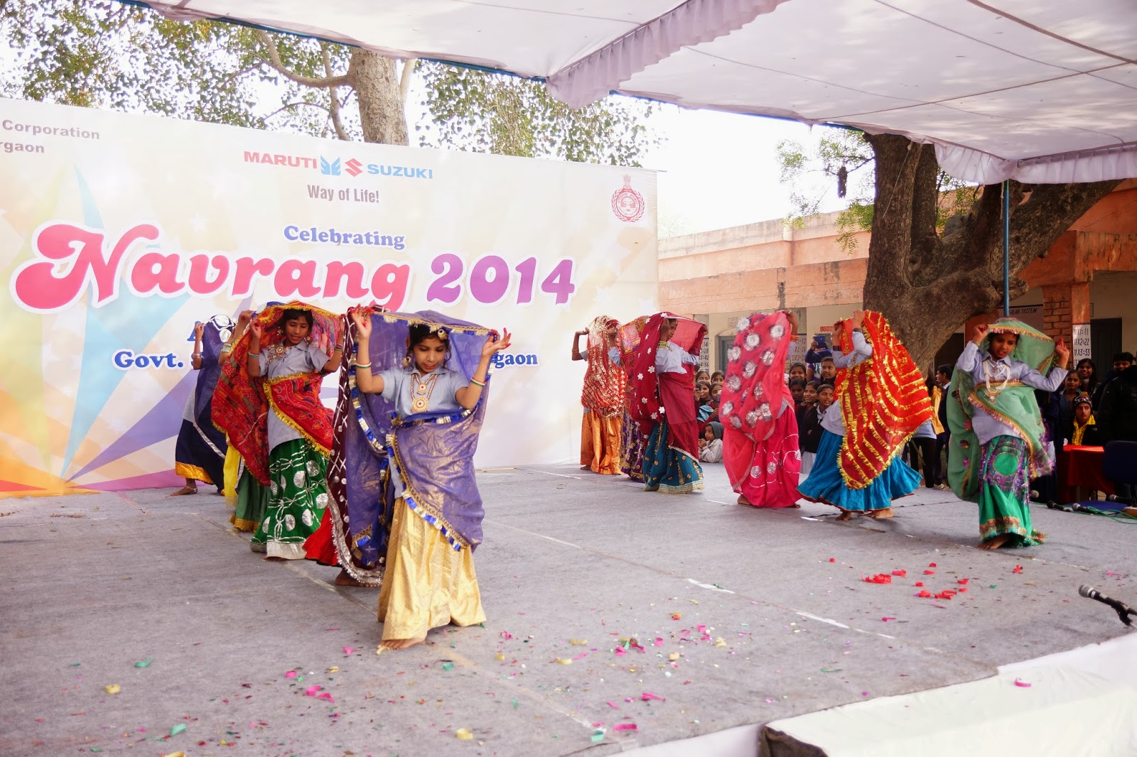 GSSS Sarhaul: Second Annual Function "NAVRANG 2014"