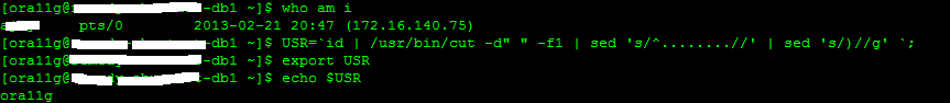 Remote Oracle Database Support Password Reset In Shell Script Using Passwd