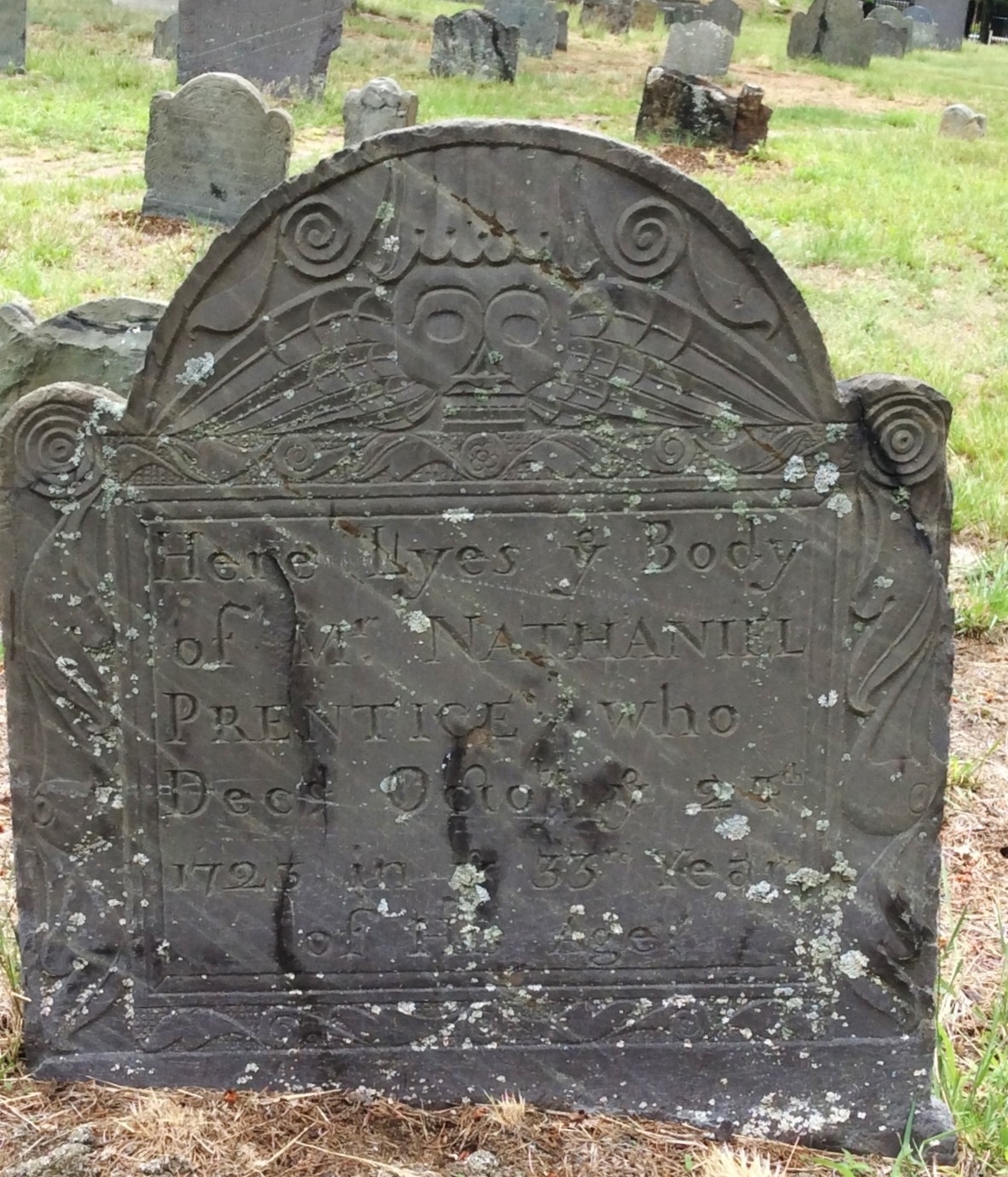 Life From The Roots: Mary Prentice Balch, and Prentice Siblings ...