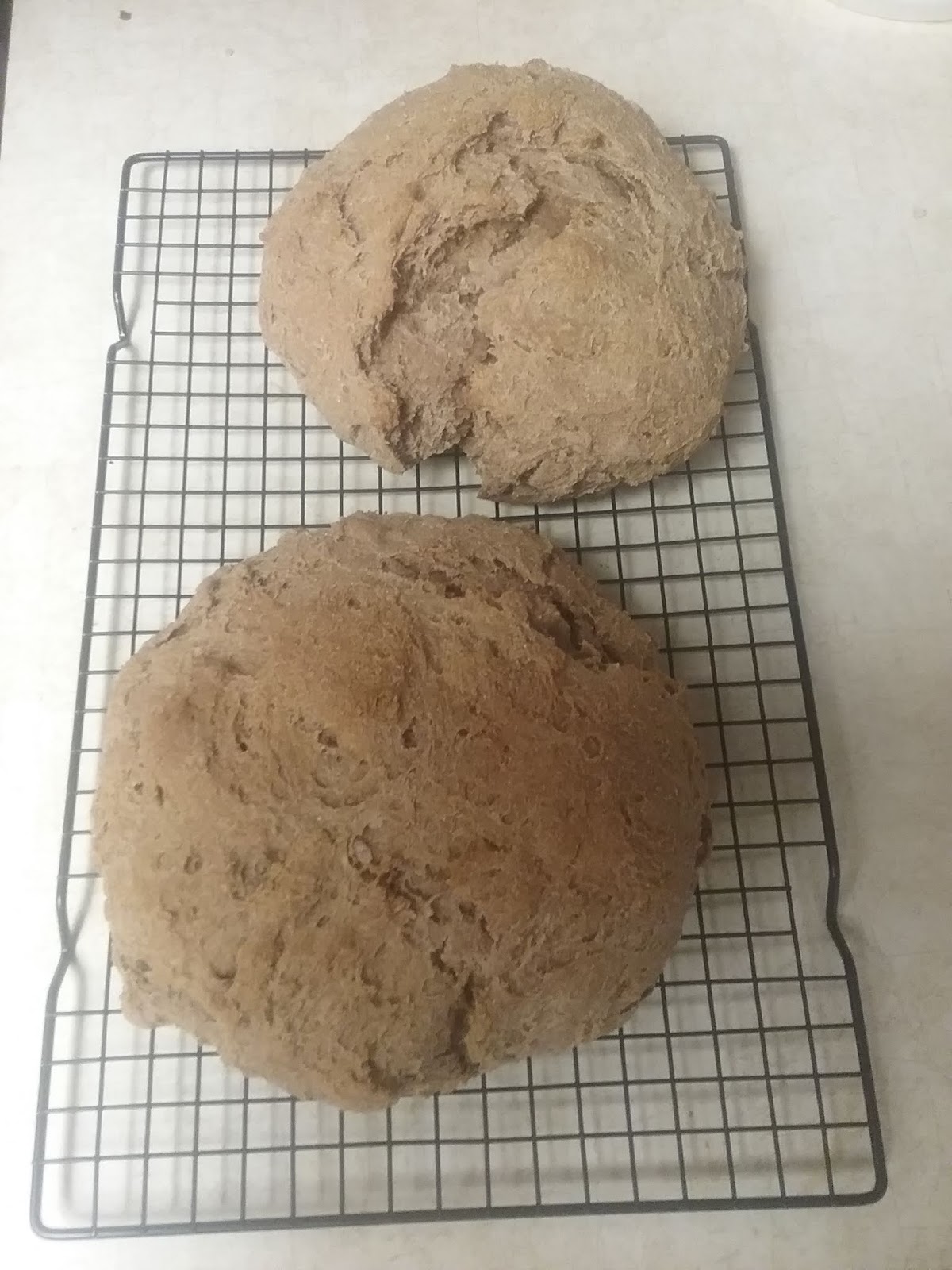 Medieval Barley Bread | Beth's Bobbins