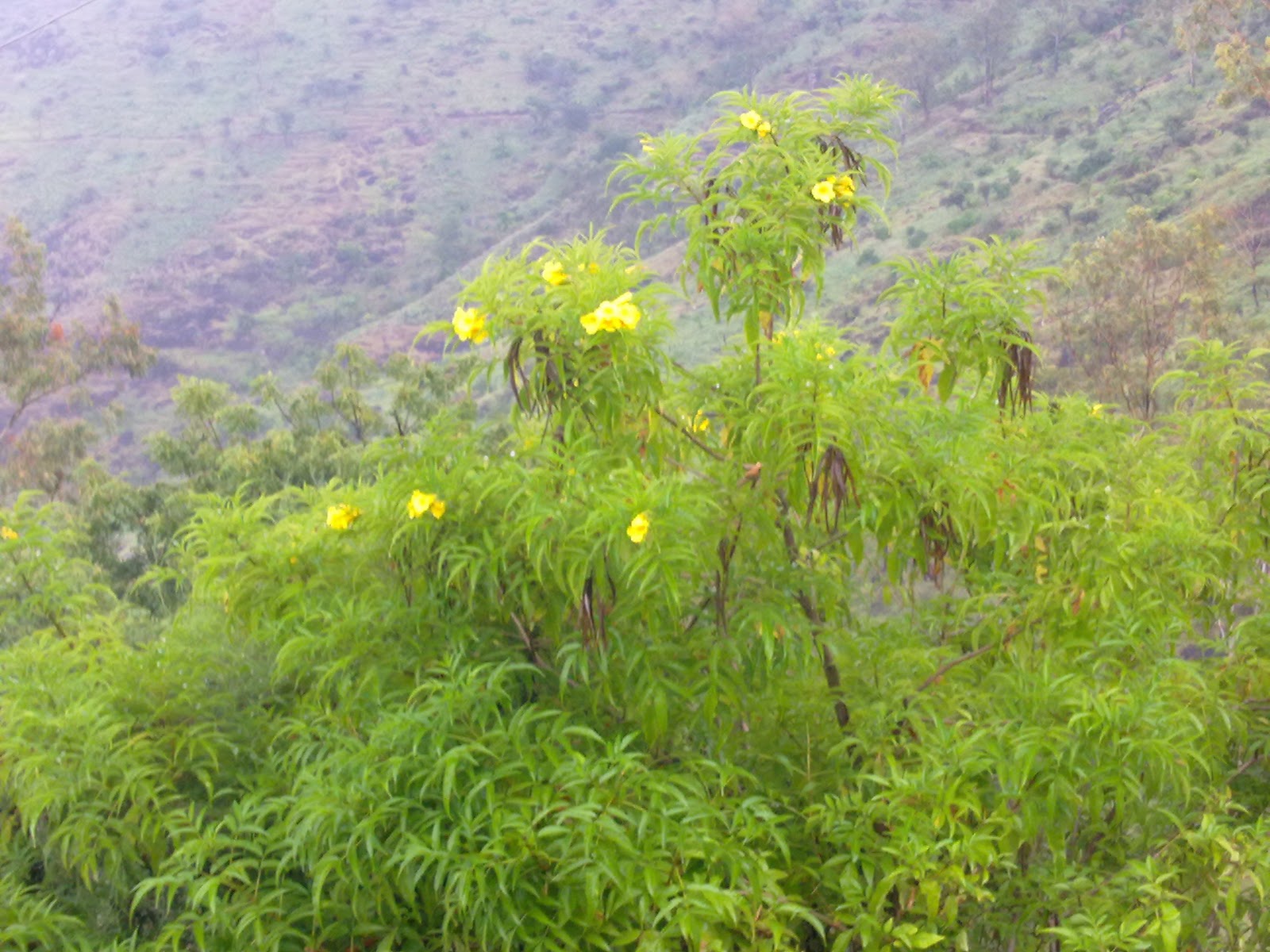 My Picnic Trip around Pune: My picnic trip around Pune - Jejuri Juna ...