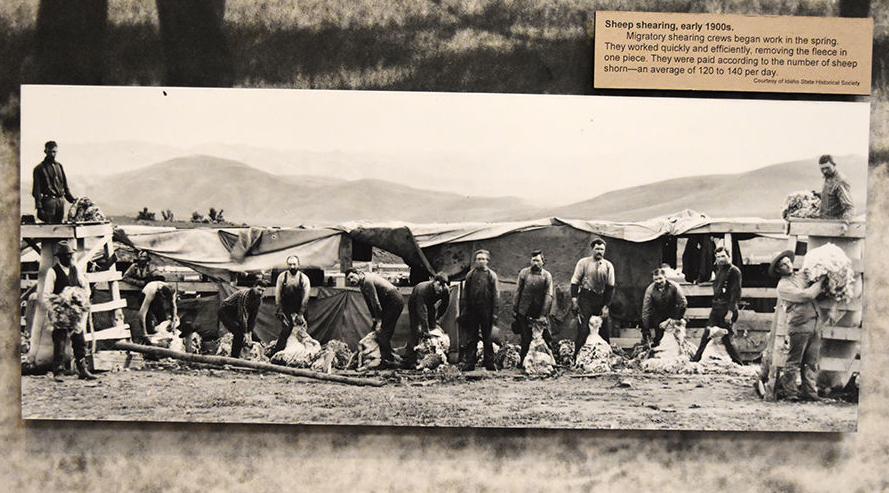 Cowboy Kisses: Basque Immigrants