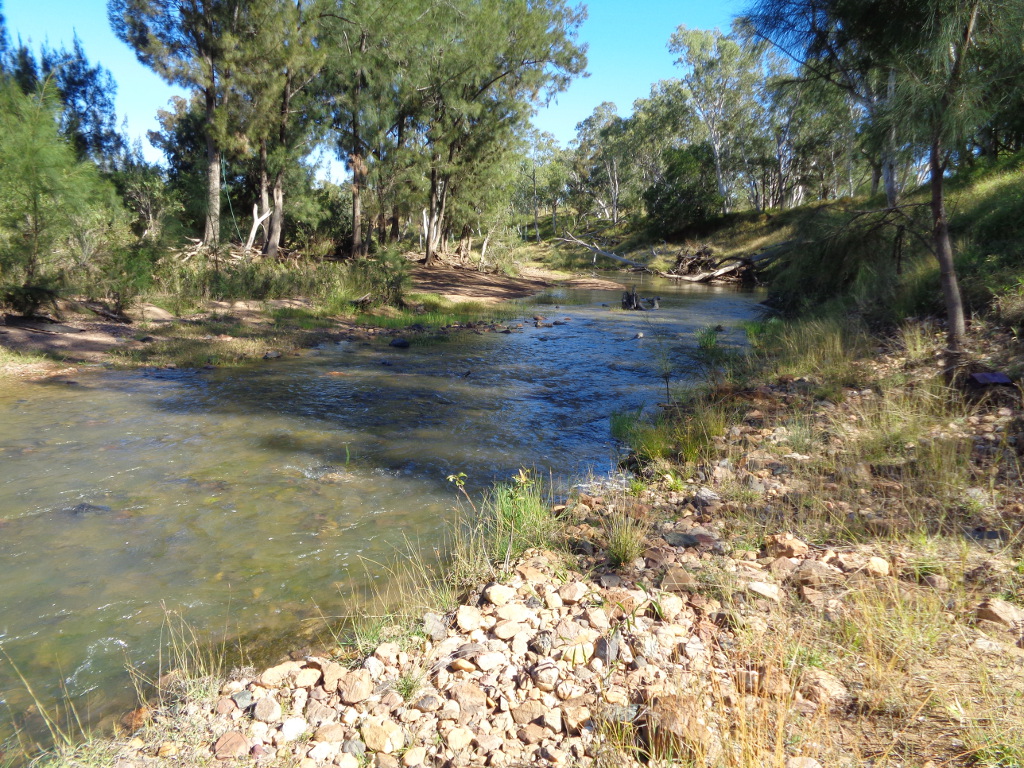 Jervoise Station, Queensland 2016