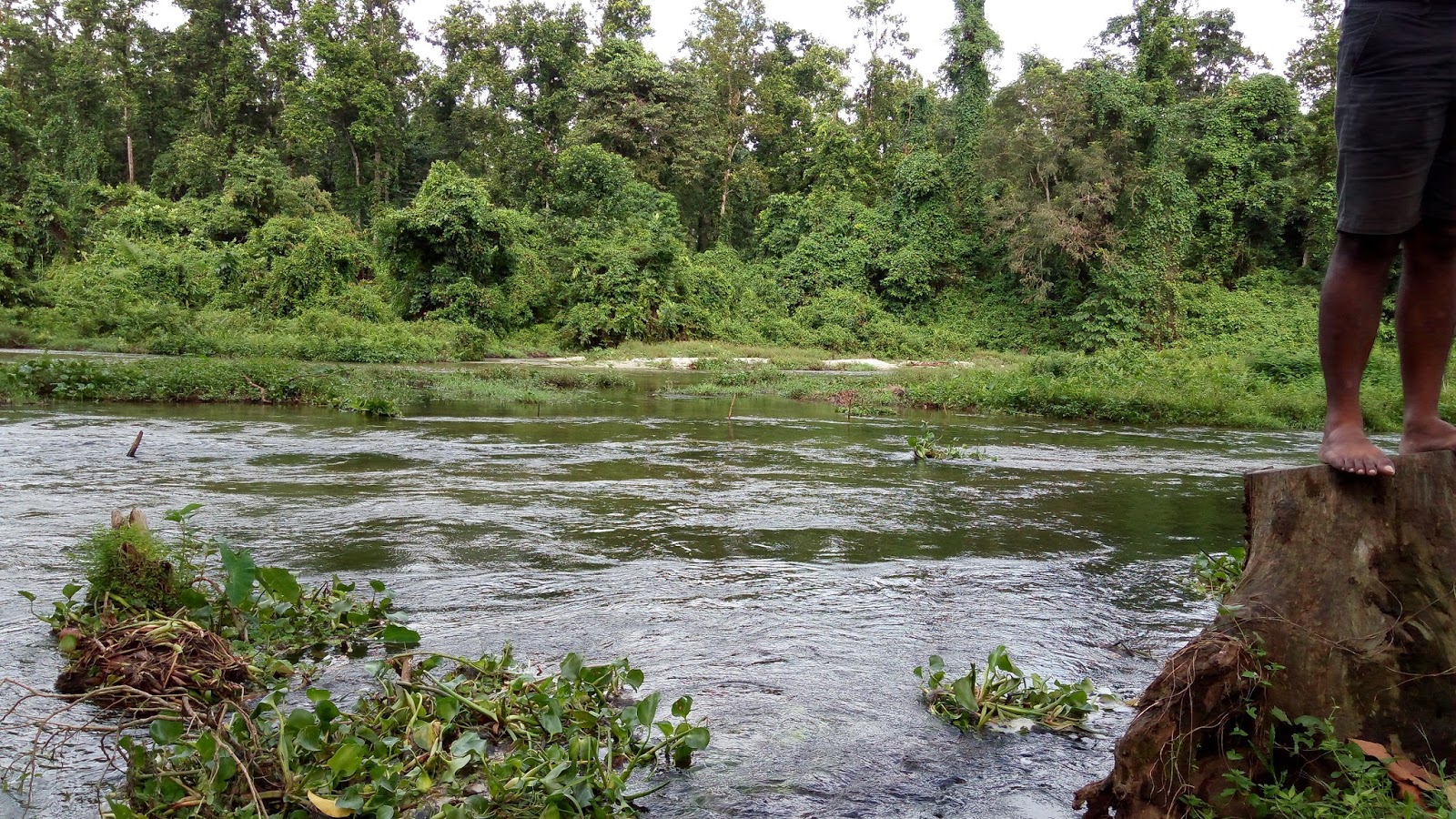 Beauty of Northbengal: Chalsa is a small town situated just on the foot ...
