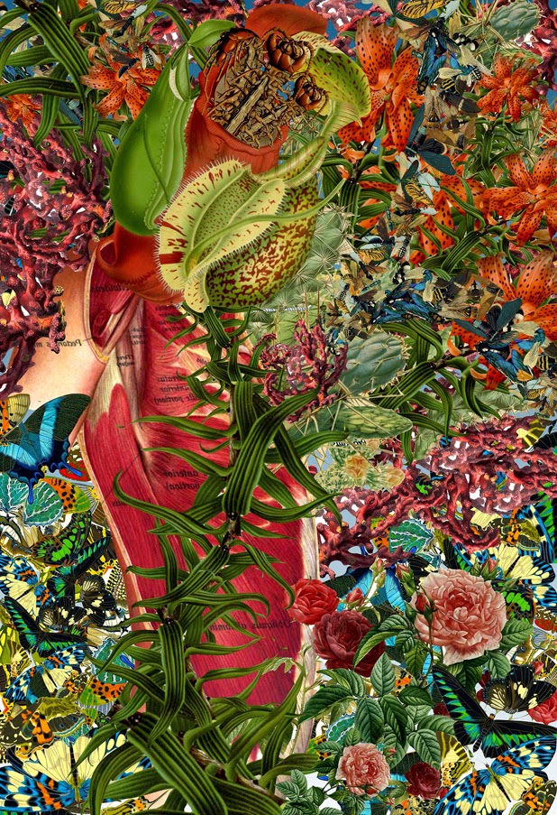 I need a guide: travis bedel # update