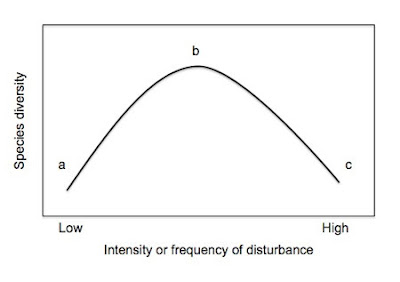 Change and Diversity: The Intermediate Disturbance Hypothesis (IDH)