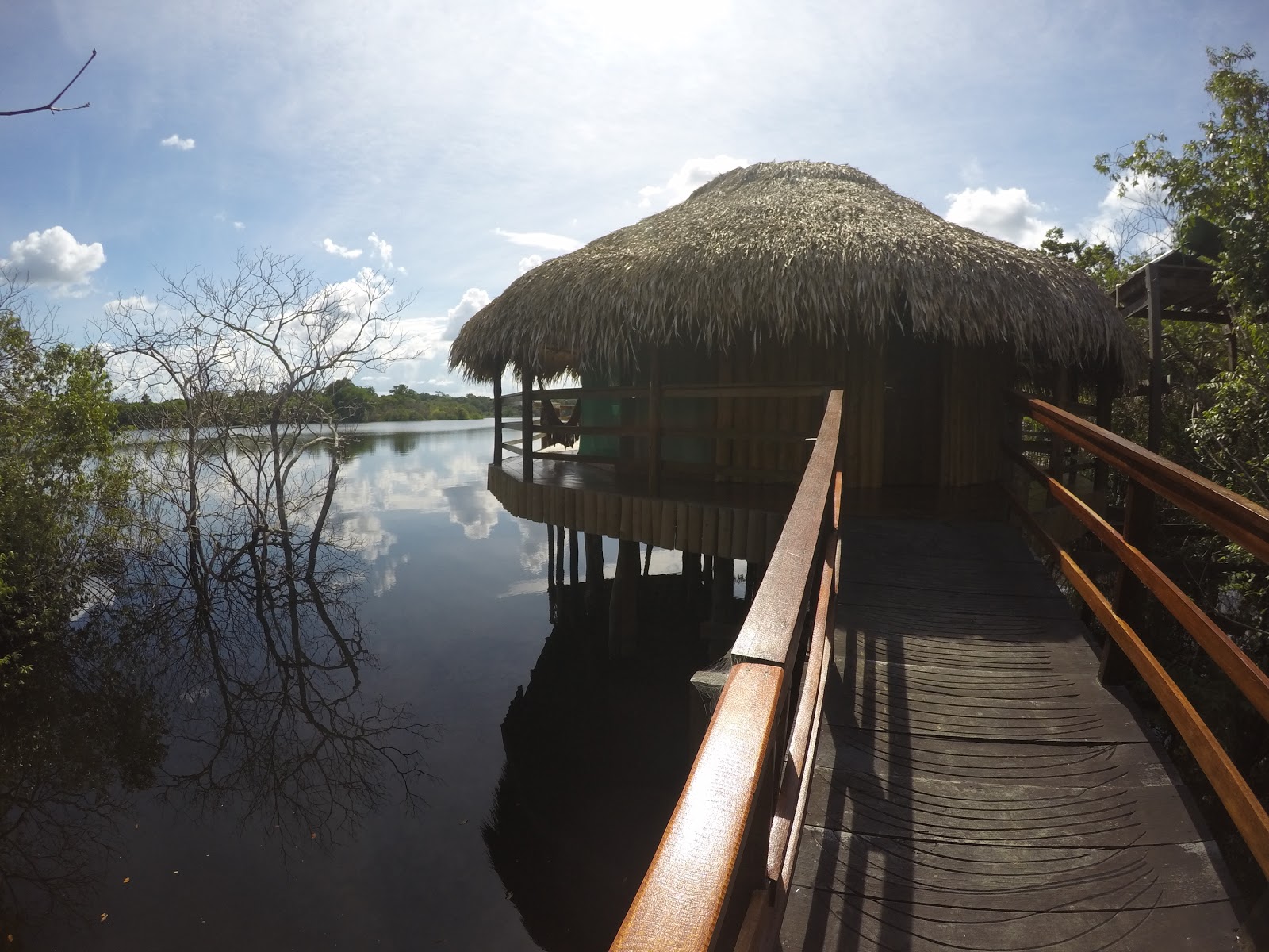 Juma Amazon Lodge: a primeira vez na Floresta Amazônica a gente nunca ...