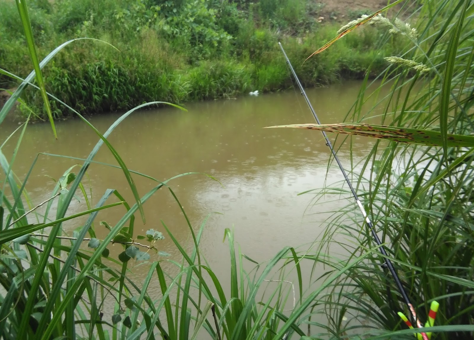 RIBOLOV NA MOJ NAČIN: Laka dubinka i debela glista