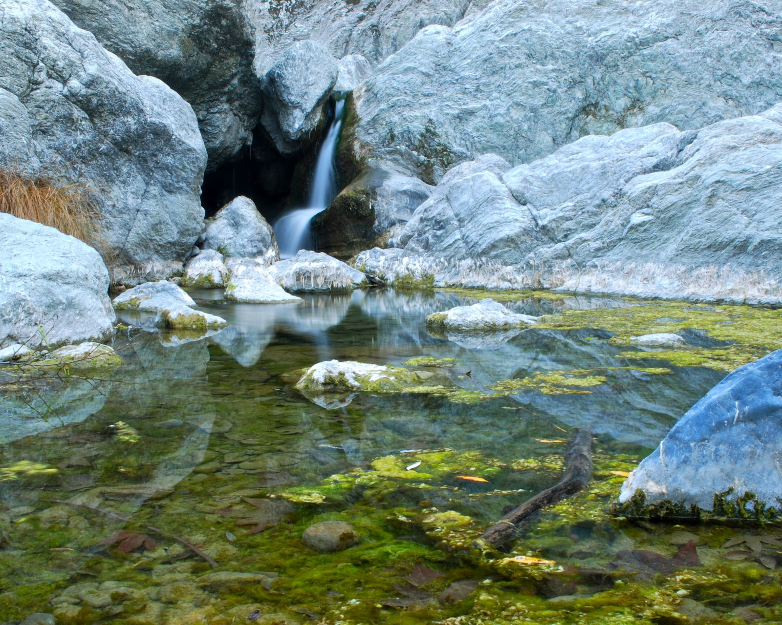 Sam Goldsmith: Photos From Sunol