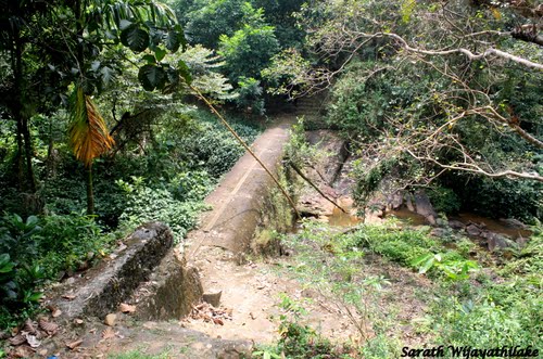 Attraction of Labugama