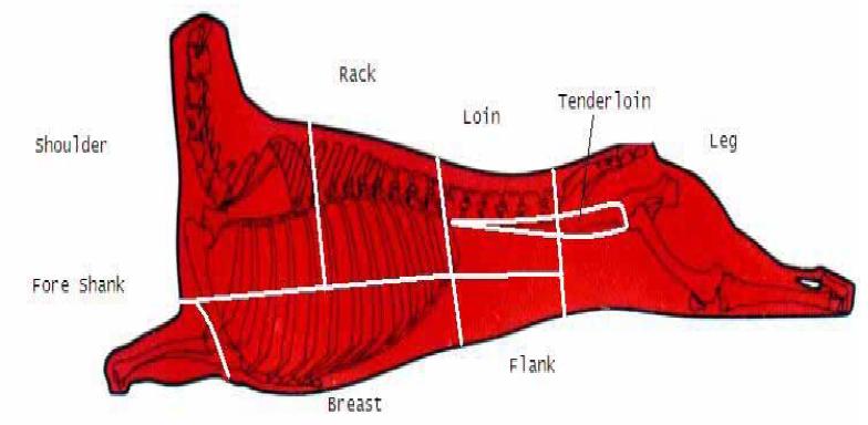 Wawasan dan Pengembangannya: Jenis Potongan Daging Sapi